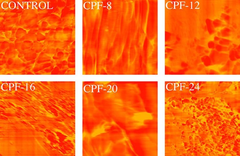 Flexible Polyurethane Foams Modified with Novel Coconut… – Blog • by ...