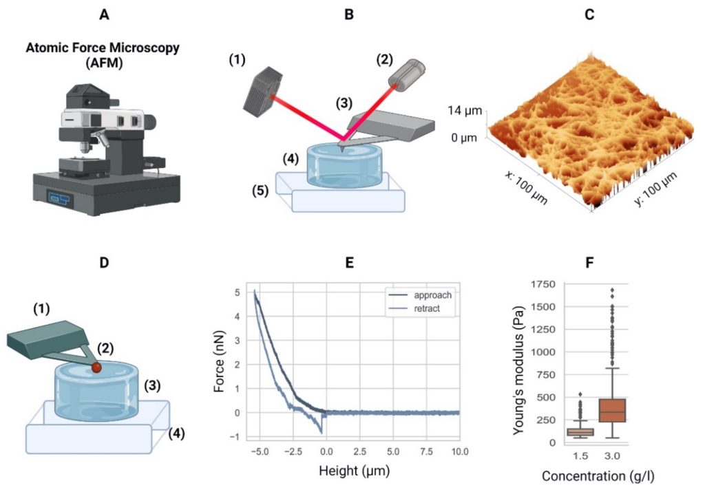 A beginner’s guide to the Characterization of Hydrogel… – Blog • by ...