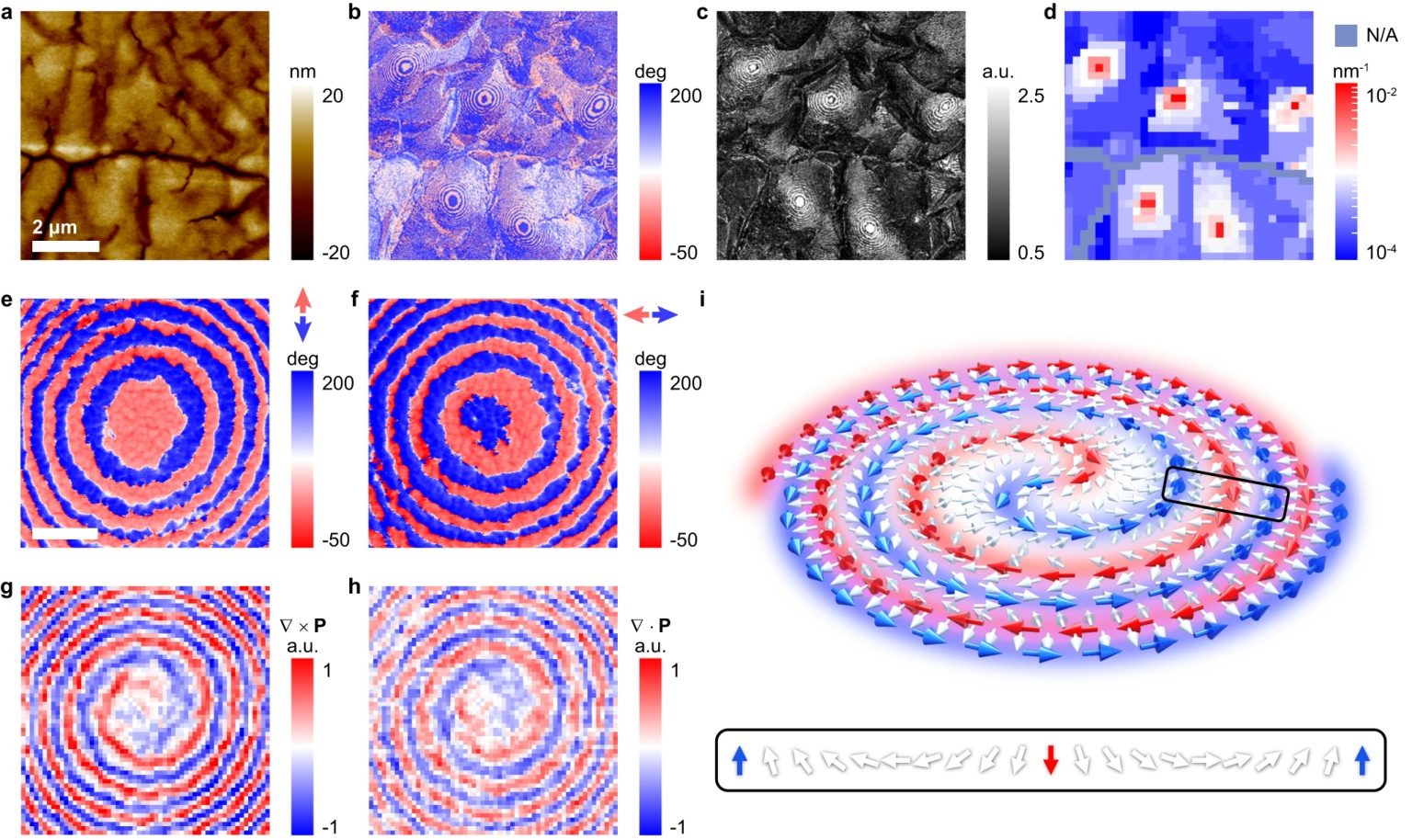 Electrically and mechanically driven rotation of polar spirals in ...