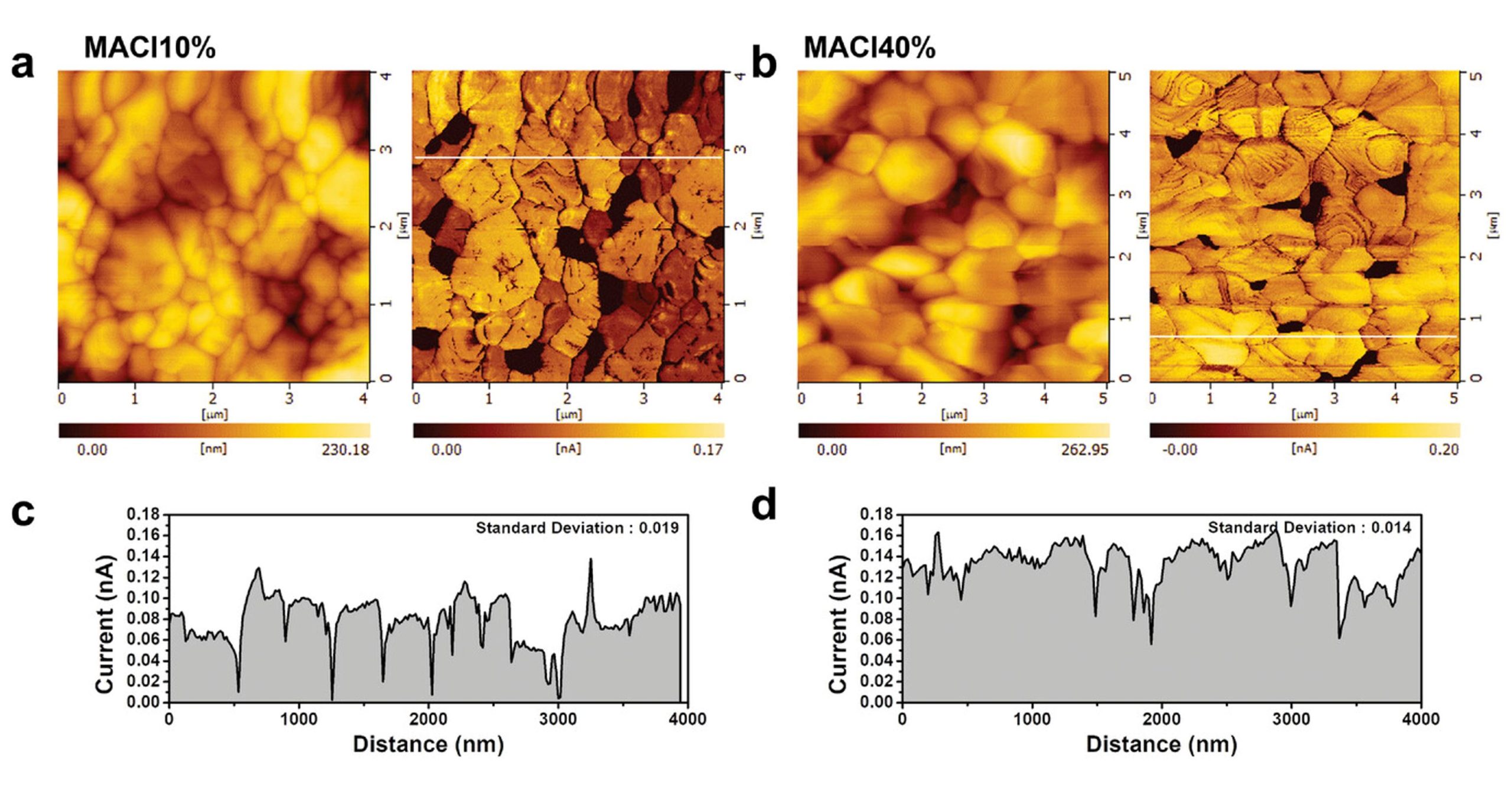 導電性原子間力顕微鏡 – Blog • by NanoWorld® - World Leader in AFM Tips