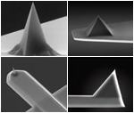 World Leader in AFM Tips • Swiss Innovation and Precision - NanoWorld®